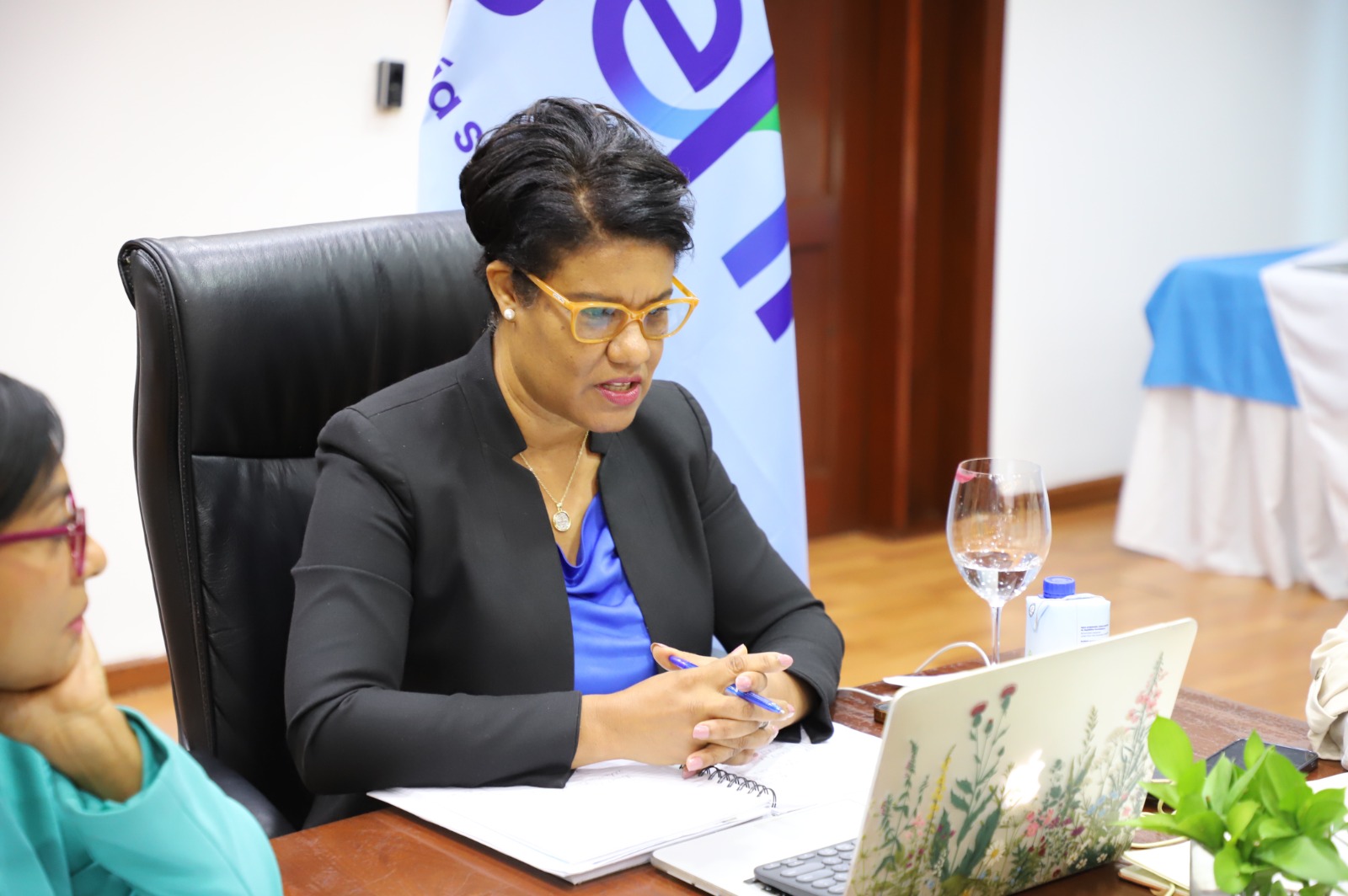 Presidenta de Consejo de EGEHID plantea los retos en materia de ...